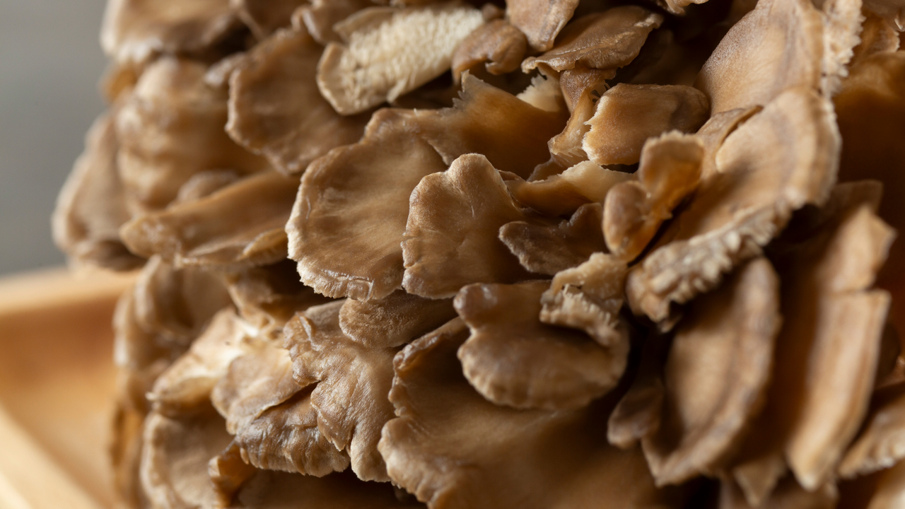 Maitake Mushroom: History, Benefits & Your Supplement Routine – Mogo Farm