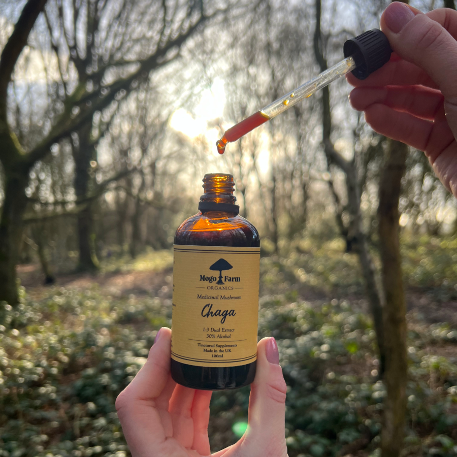The Mogo Farm Story | Functional Mushroom Tinctures | Expert Knowledge