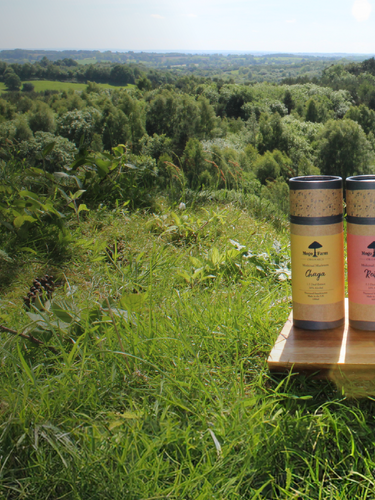 Mogo Farm Premium Quality Mushroom Tinctures | Made in the UK