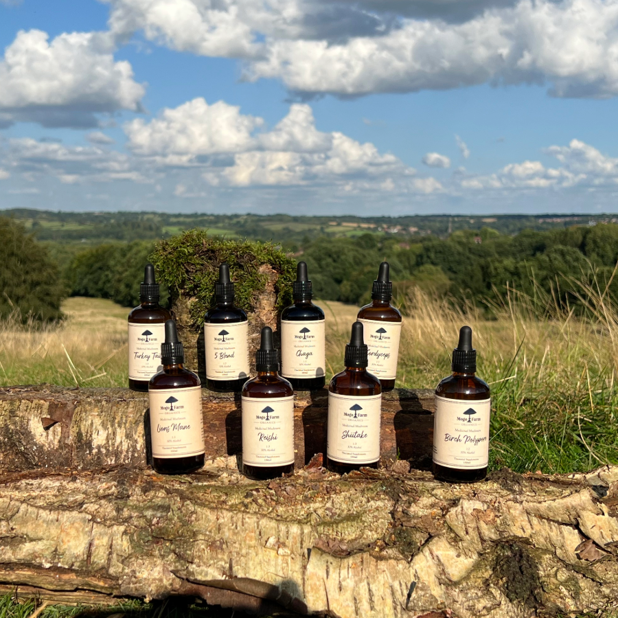 The Mogo Farm Story | Functional Mushroom Tinctures | Expert Knowledge
