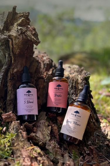 UK's Most Loved Adaptogenic Mushroom Tinctures | Made in Derbyshire – Mogo Farm